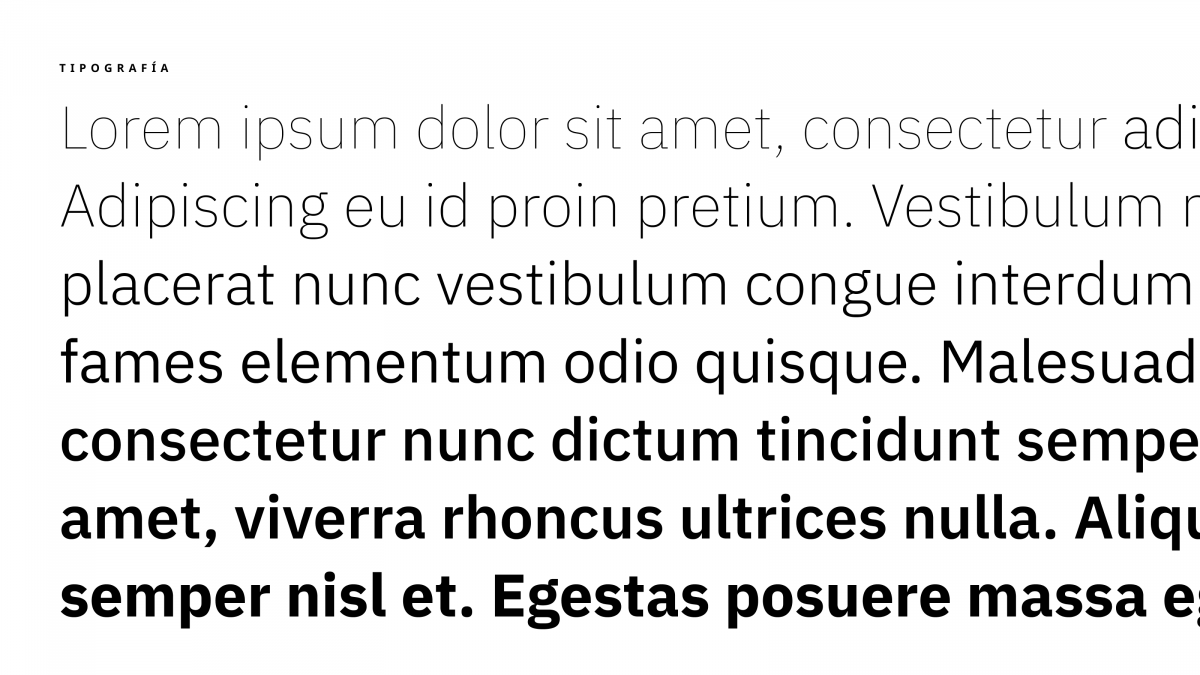 CyberSign Branding - Royale Studios